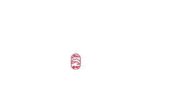 How to Play a Lyre Harp: The Complete Beginner’s Guide – Hluru